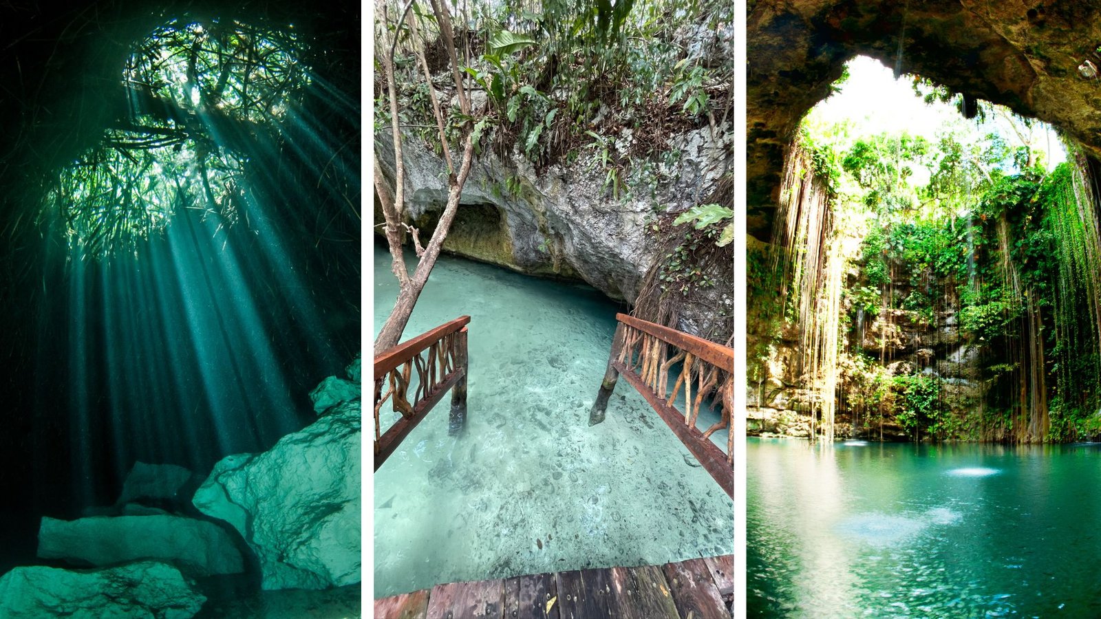 Cenote Tulum 🐳 Top 5 Cenotes Tulum para visitar 🌴☀️