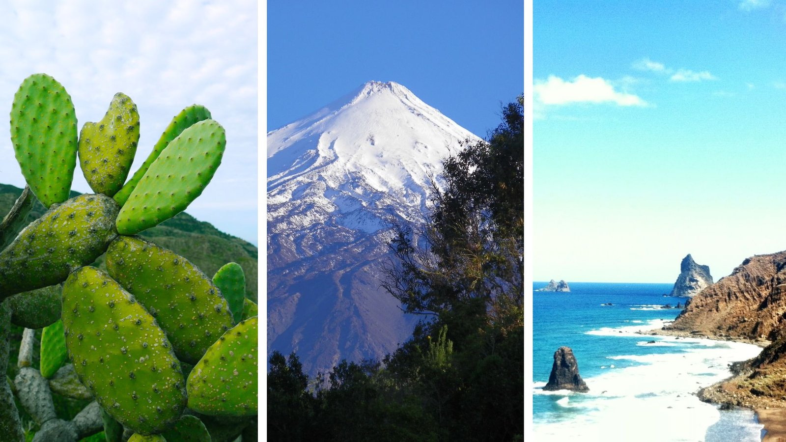 Viajes a Tenerife Todo Incluido 2x1 🌴Viajes a Tenerife Todo Incluido ...