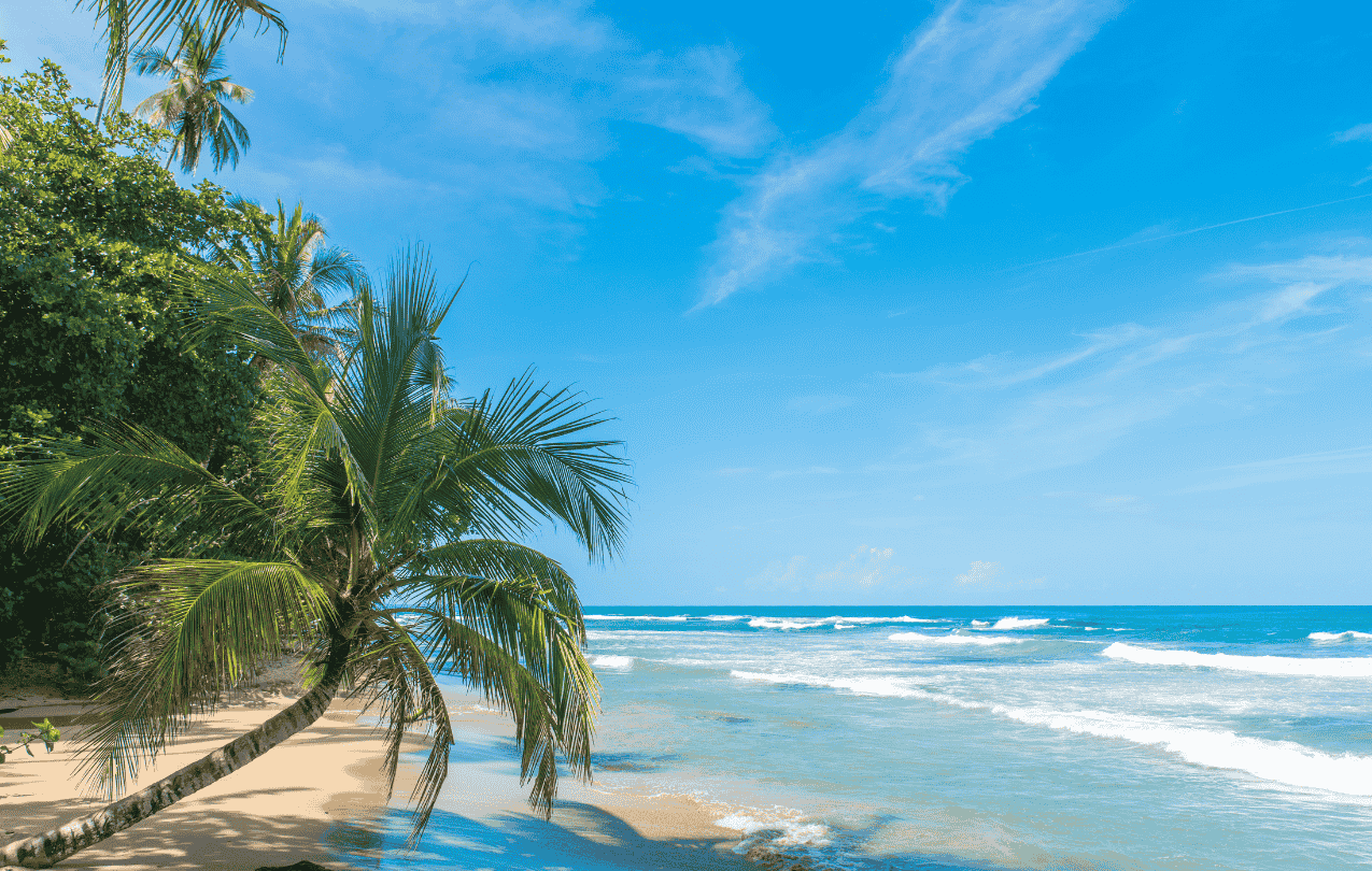 Nosara Costa Rica | Costa Rica Nosara - La Playa Te Espera 100