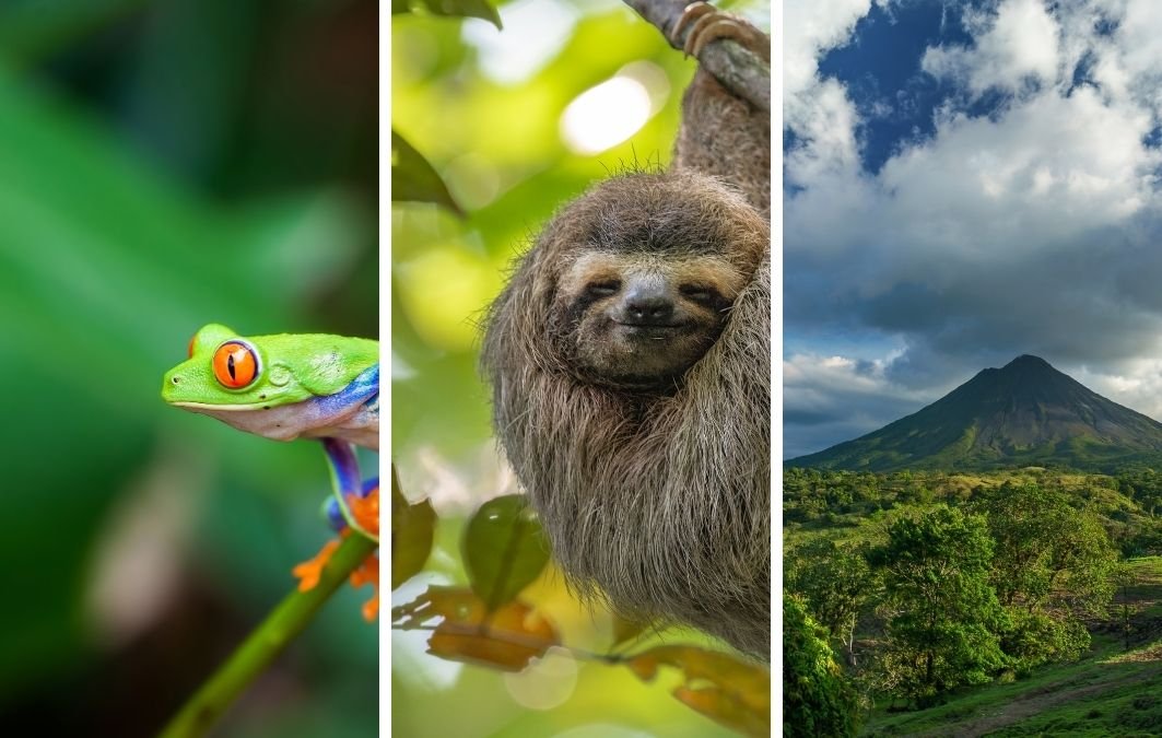 Viaje a Costa Rica con Traveo - 6 Mejores Destinos 🌿